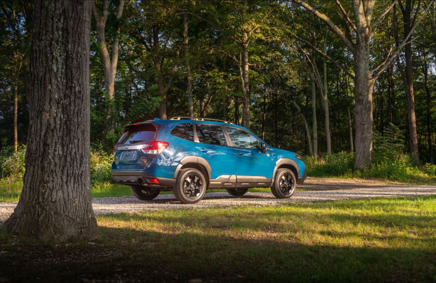 Subaru Forester 2024 - sAuta.eu